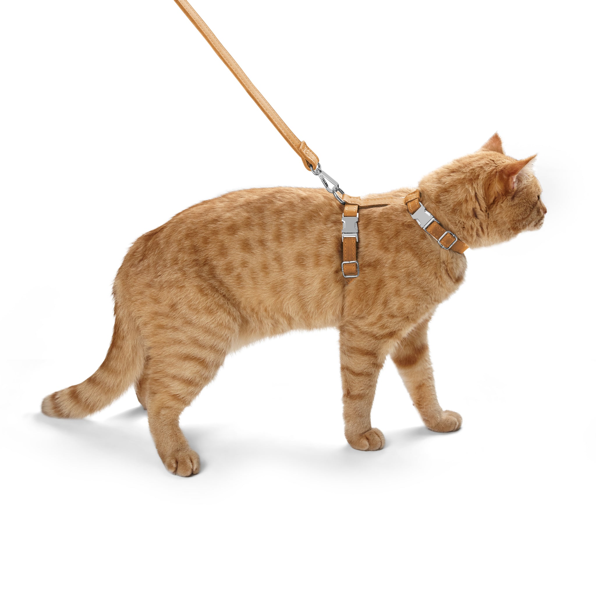 Handmade Leather Cat Harness – Personalized Cat Harness and Leash for ...